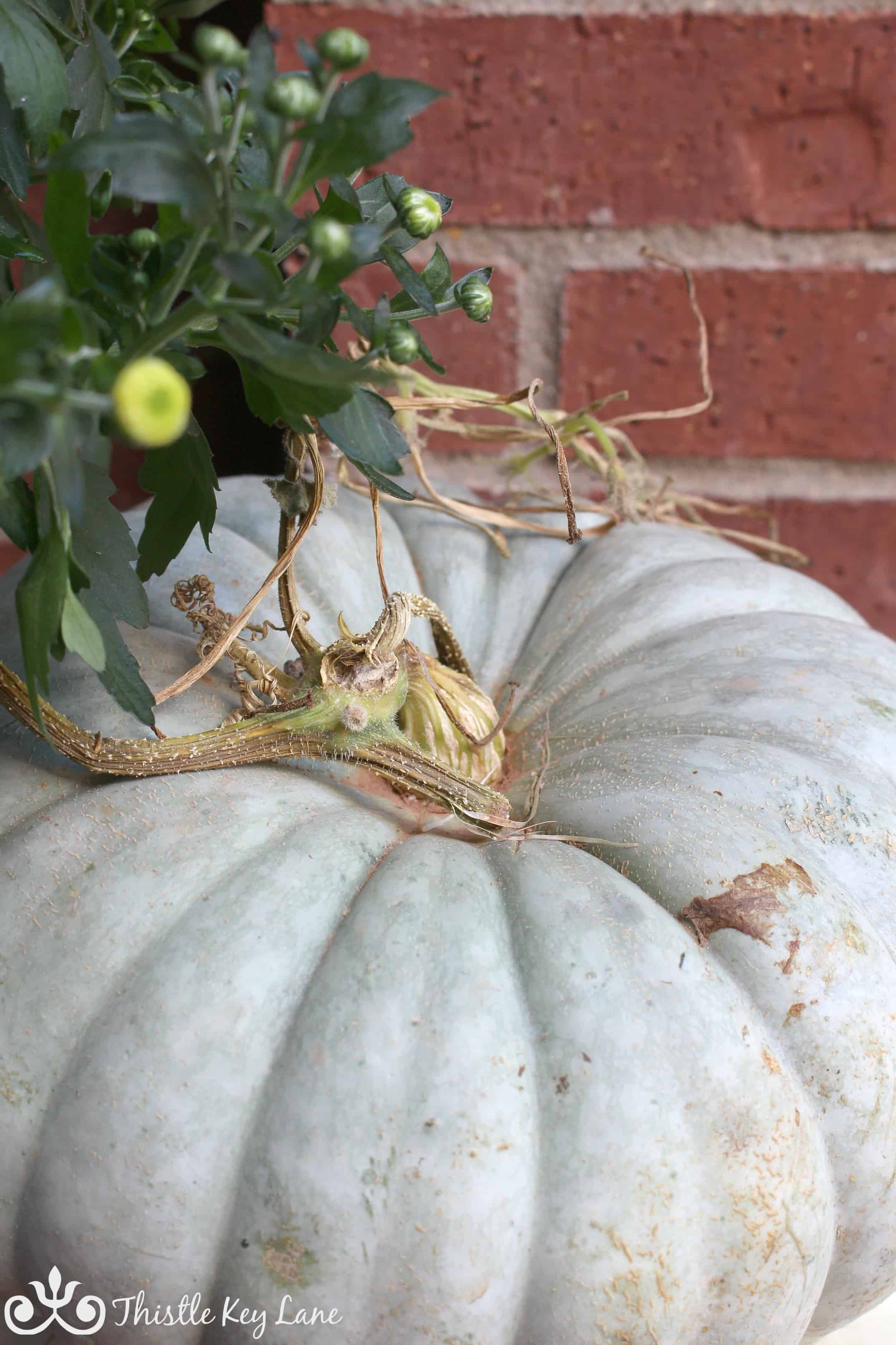 How To Make A Fall Bandana Wreath - Thistle Key Lane