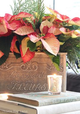 Decorating With Poinsettias - Thistle Key Lane