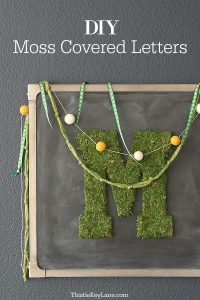 DIY Moss Covered Letters - Thistle Key Lane