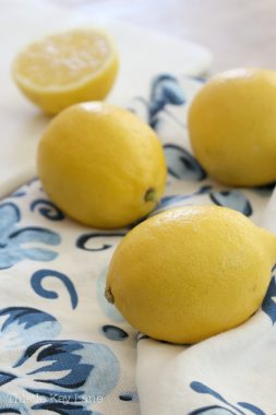 Lemon Squares Recipe - Thistle Key Lane