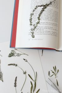 How To Make A Pressed Herb Collage - Thistle Key Lane