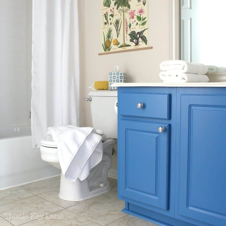 Ideas For Updating A Plain Bathroom - Thistle Key Lane