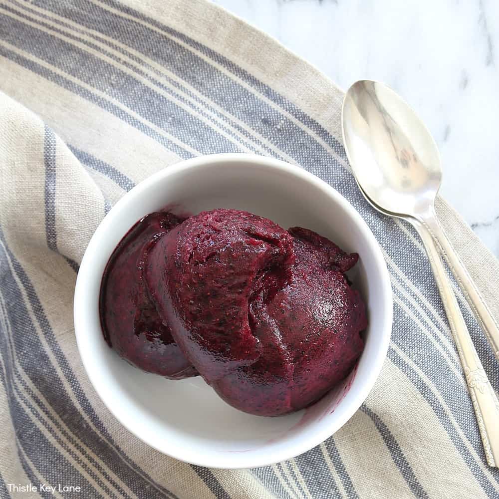 Blueberry Lemon Sorbet Recipe - Thistle Key Lane