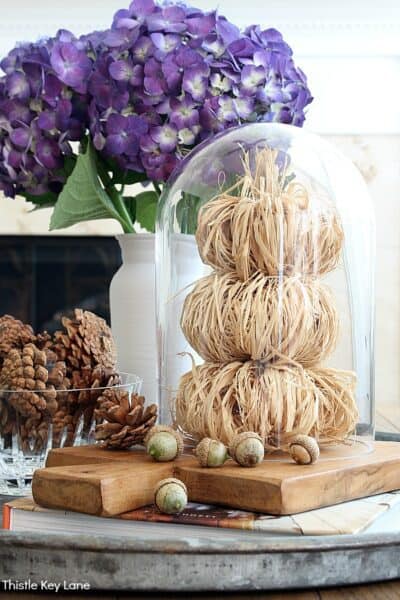 Fall Cloche With Raffia Pumpkins - Thistle Key Lane