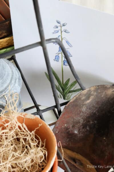 Winter Botanical Inspired Vignette - Thistle Key Lane