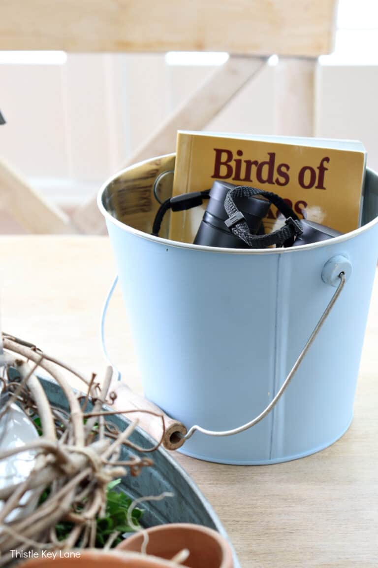 Bird Theme Inspired Centerpiece - Thistle Key Lane