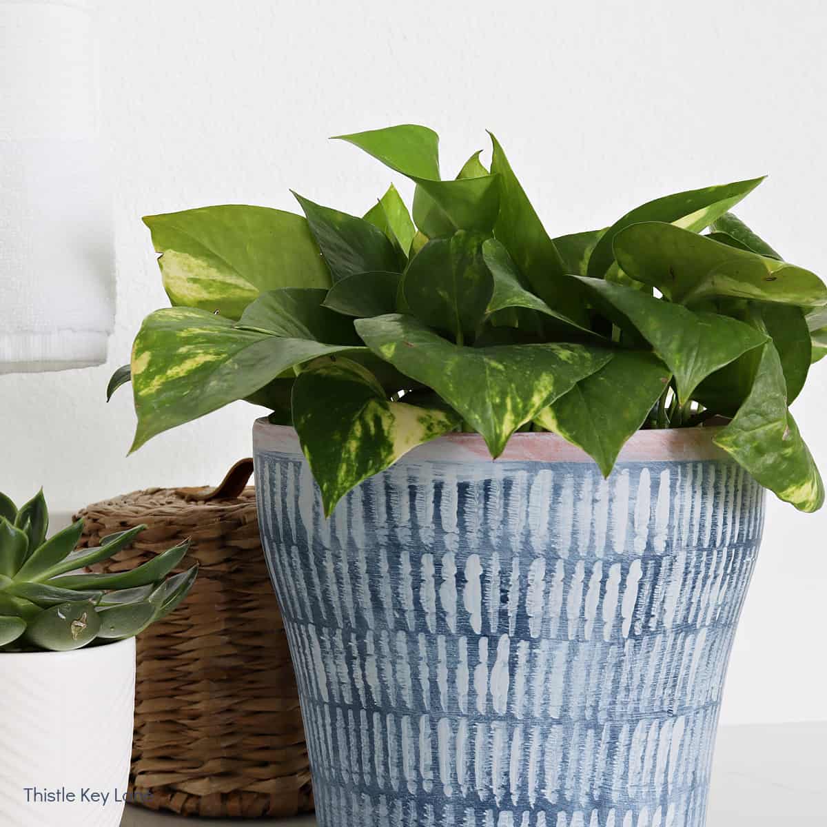 How To Hand Paint A Cachepot - Thistle Key Lane