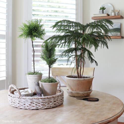 DIY Air Dry Clay Flower Frogs - Thistle Key Lane