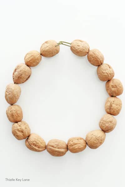 Easy DIY Walnut Wreath - Thistle Key Lane