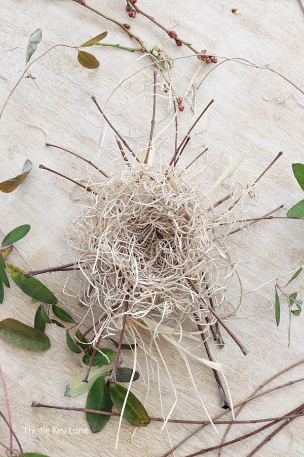 DIY Foraged Bird Nest - Thistle Key Lane