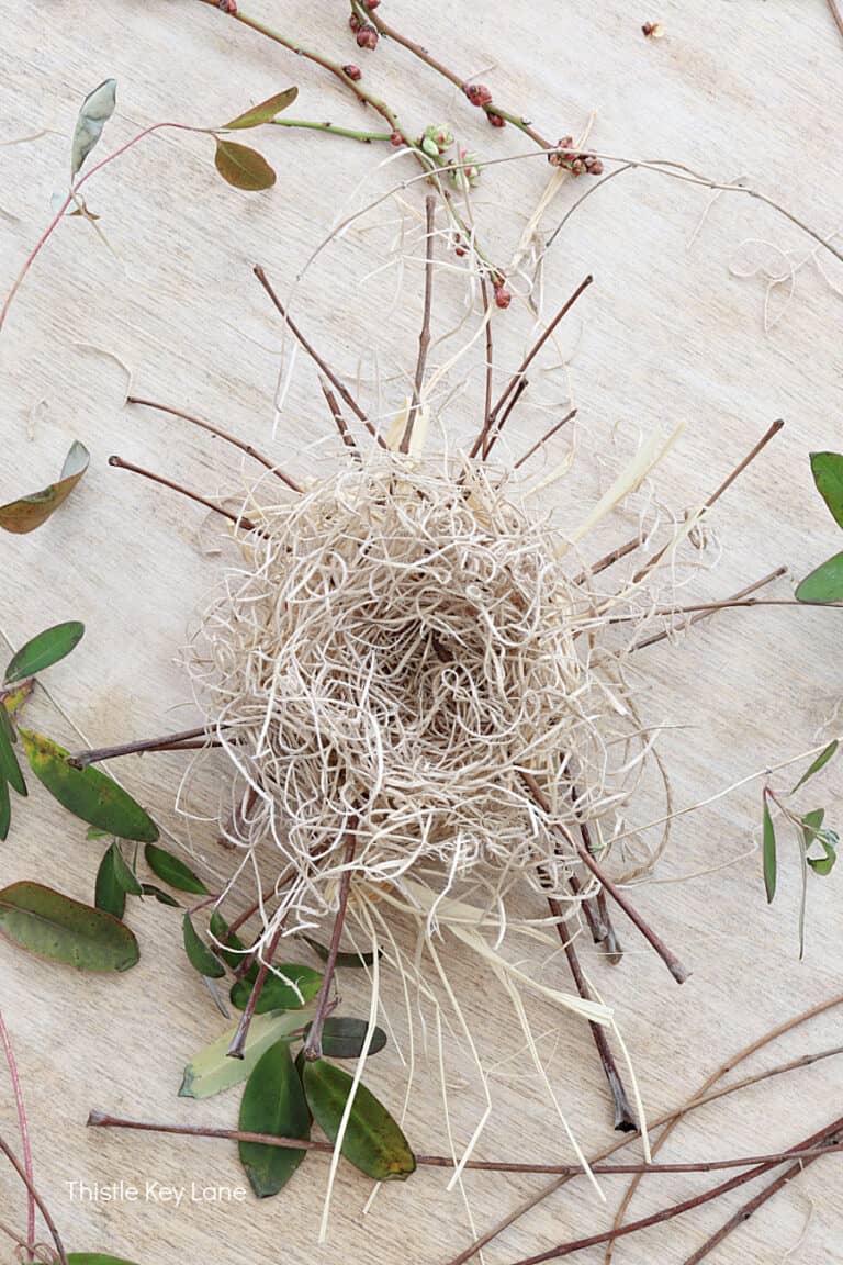 DIY Foraged Bird Nest - Thistle Key Lane
