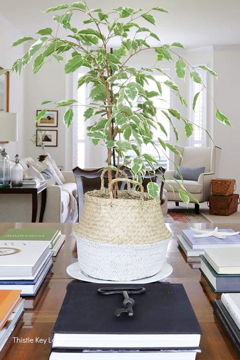 Styling A Dining Table With Books - Thistle Key Lane