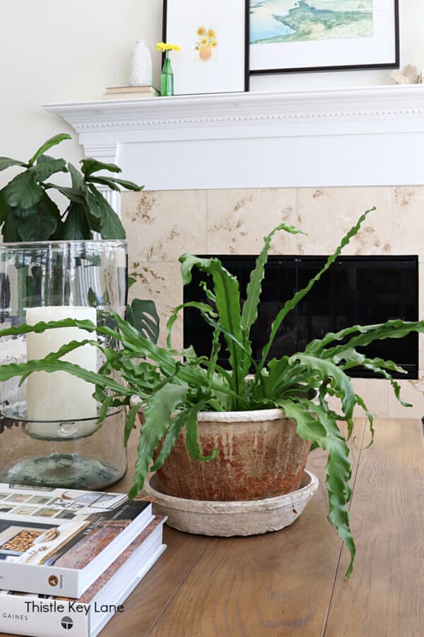 Easy Ways To Transition Into Fall - Thistle Key Lane