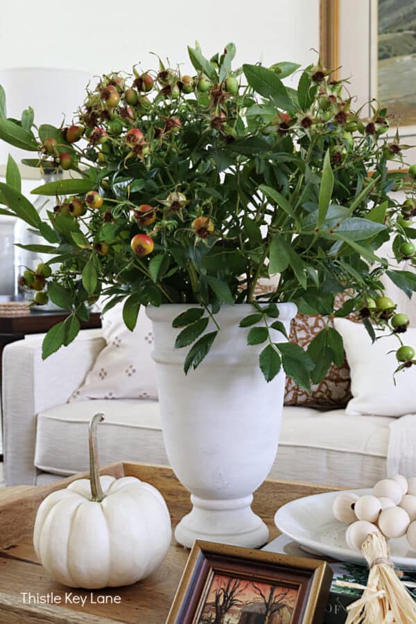 Cozy Fall Living Room Tour - Thistle Key Lane