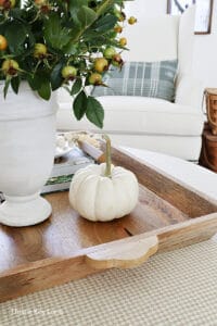 Cozy Fall Living Room Tour - Thistle Key Lane