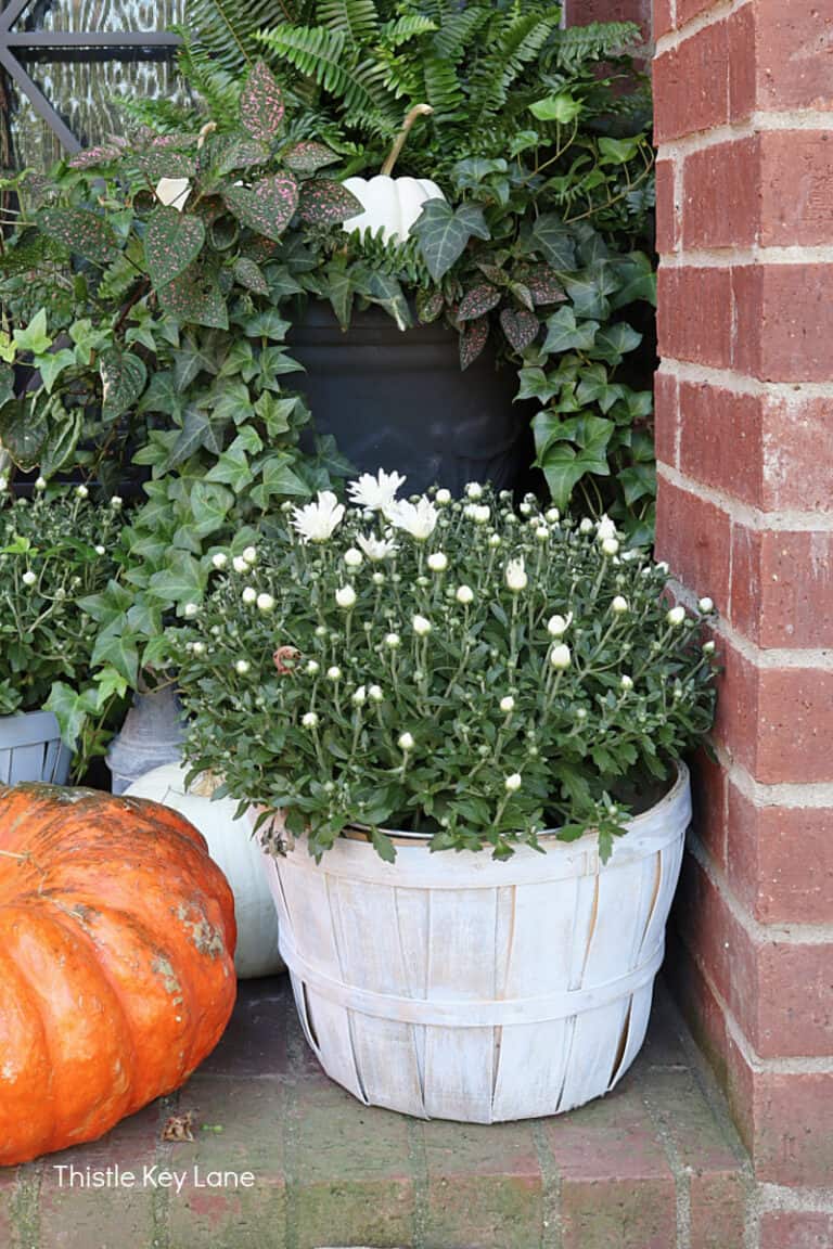 Classic Fall Decorating For A Small Porch - Thistle Key Lane