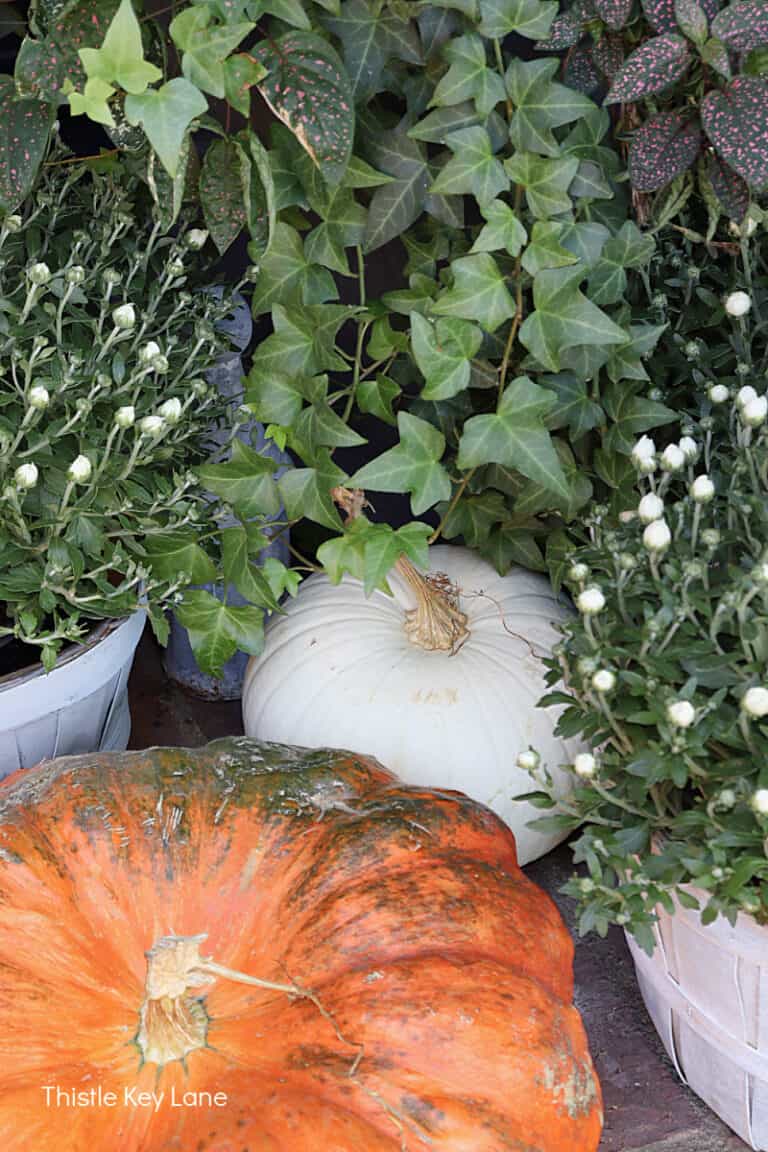 Classic Fall Decorating For A Small Porch - Thistle Key Lane
