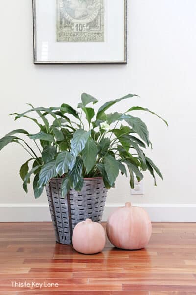 Simple Fall Entry Table Styling - Thistle Key Lane