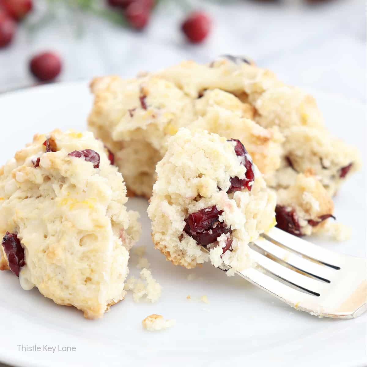 Cranberry Orange Scone Recipe - Thistle Key Lane