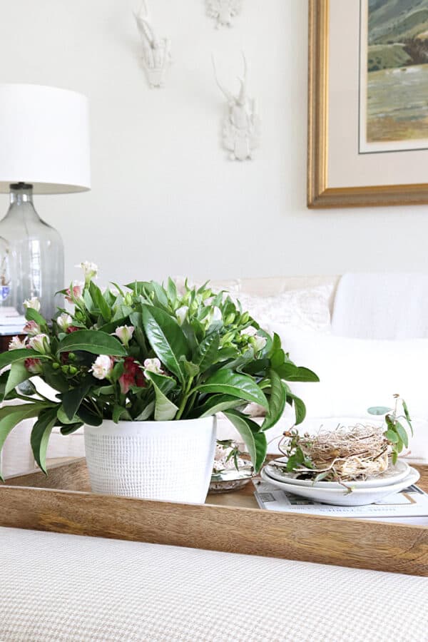 Spring Refresh Home Tour - Thistle Key Lane