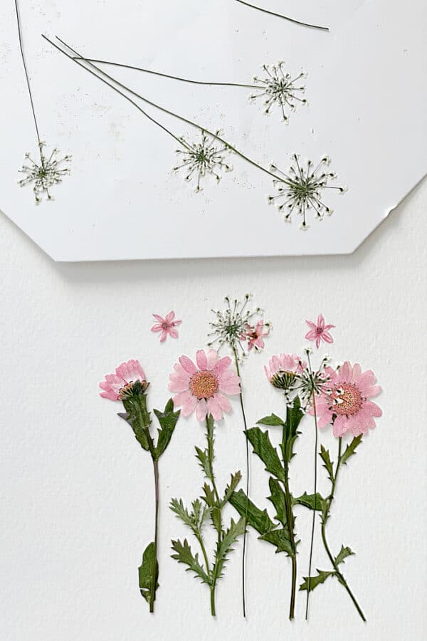 How To Create Art With Pressed Flowers - Thistle Key Lane