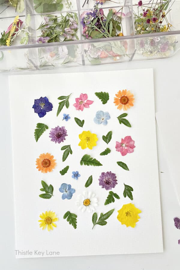 How To Create Art With Pressed Flowers - Thistle Key Lane