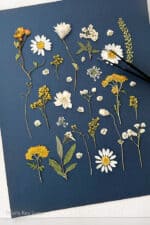 How To Create Art With Pressed Flowers - Thistle Key Lane