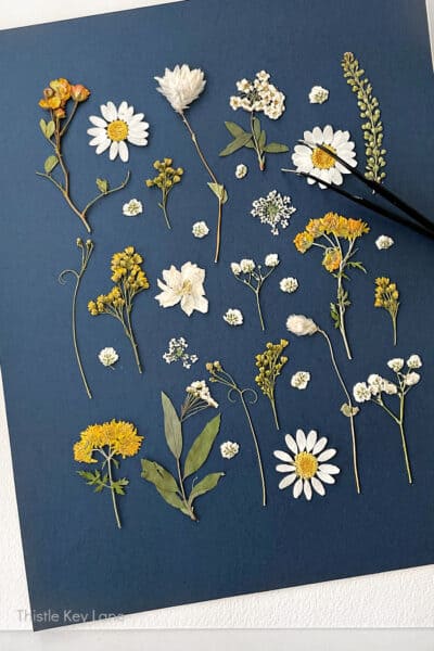 How To Create Art With Pressed Flowers - Thistle Key Lane