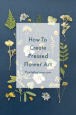How To Create Art With Pressed Flowers - Thistle Key Lane