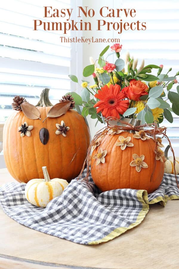 Easy No Carve Pumpkins - Thistle Key Lane