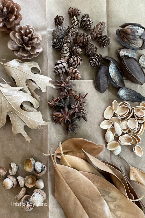 Easy No Carve Pumpkins - Thistle Key Lane