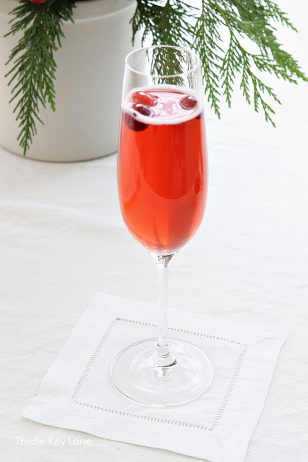 Cranberry Champagne Cocktail Recipe - Thistle Key Lane