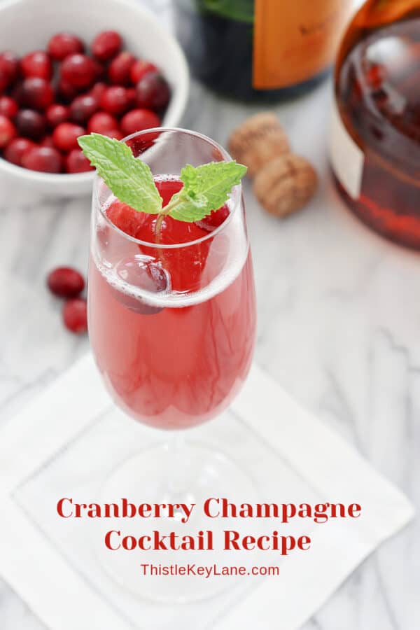 Cranberry Champagne Cocktail Recipe - Thistle Key Lane