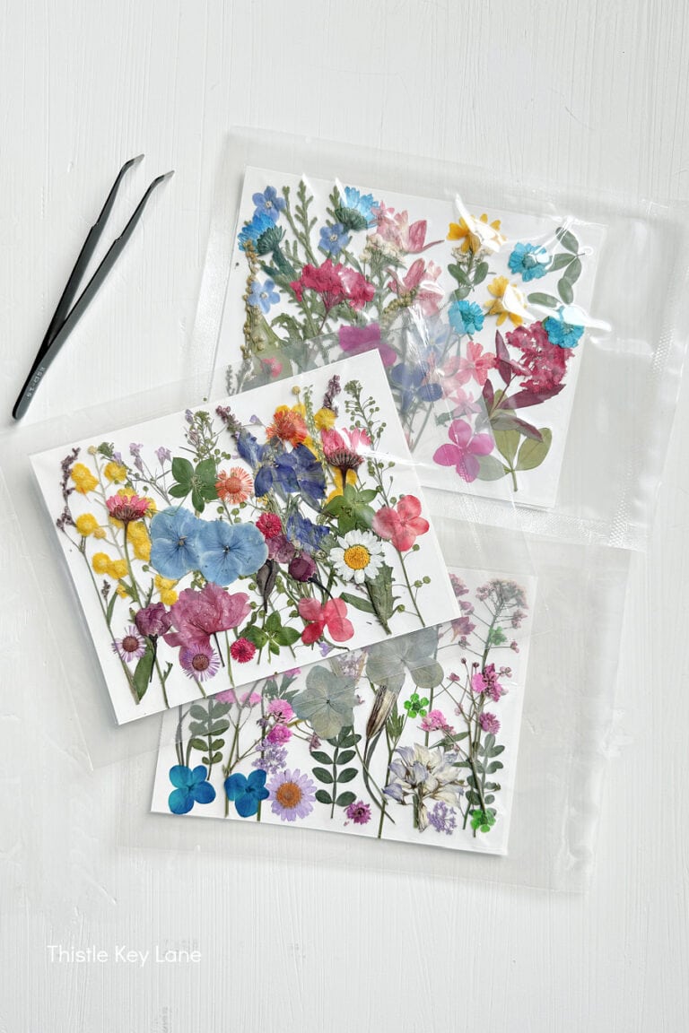Mixed Media Art With Pressed Flowers - Thistle Key Lane