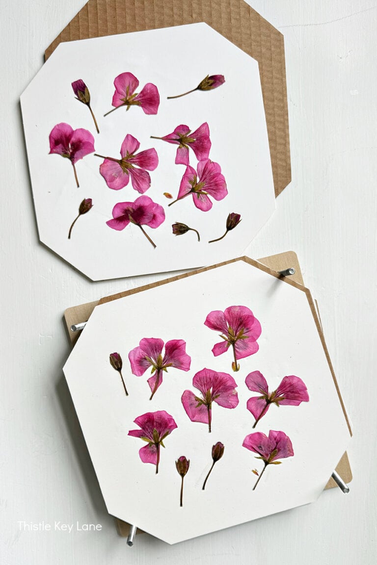 Mixed Media Art With Pressed Flowers - Thistle Key Lane
