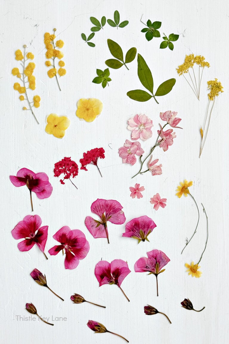 Mixed Media Art With Pressed Flowers - Thistle Key Lane