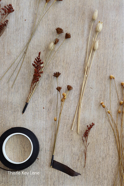 Dried Floral Cloche Arrangement - Thistle Key Lane