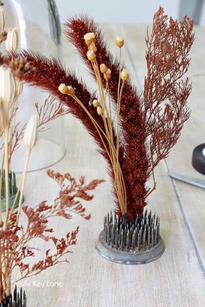 Dried Floral Cloche Arrangement - Thistle Key Lane