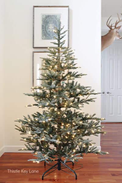King Of Christmas Tree Review - Thistle Key Lane